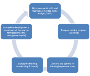 Training program steps | The People in Dairy